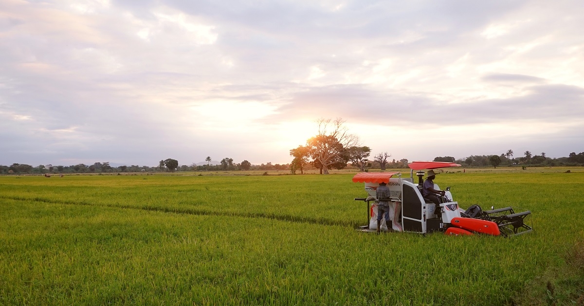 アフリカ大陸を潤す水田と日本の稲作技術｜クボタプレス｜株式会社クボタ